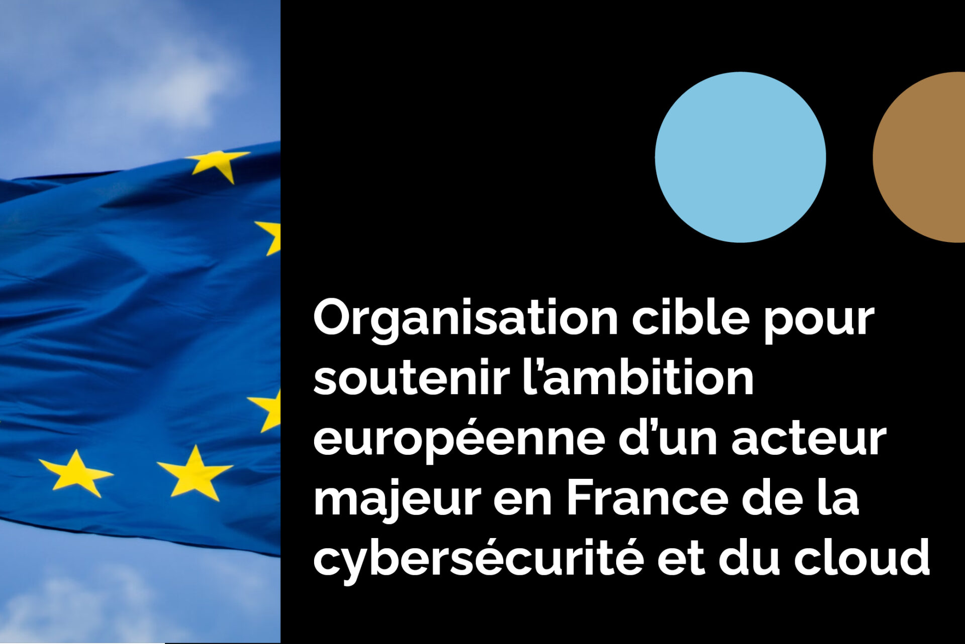 Organisation cible pour soutenir l’ambition européenne d’un acteur ...